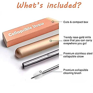 Buleila TELESCOPIC STRAW (BLUE CASE COLORFUL STRAW,PINK CASE SILVER STRAW,GOLD CASE ROSE GOLD STRAW,GREY CASE SILVER SREAW, 4)