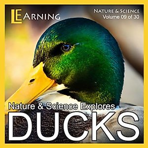 Ducks (Nature & Science)