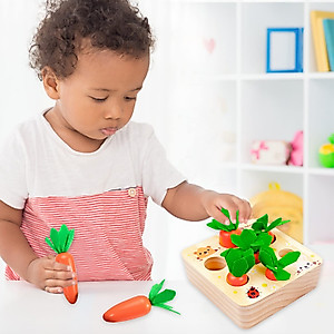 SGVV90 Shape Sorting Matching Montessori Wooden Toy, Farm Harvest Stem Puzzle Game with 7 Sizes Vegetables and Fruits, Developmental Preschool Educational Gifts for Toddlers (Carrot)
