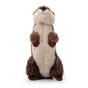 The Petting Zoo River Otter Stuffed Animal Standing, Gifts for Kids, Wild Onez Zoo Animals, River Otter Plush Toy 10 inches