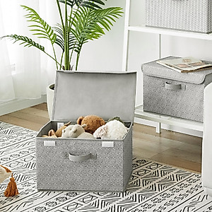 GRANNY SAYS Bundle of 2-Pack Clothing Storage Bins with Lids & 1-Pack Hanging Storage Shelves for Organizing