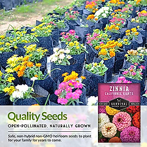 Survival Garden Seeds - California Giants Zinnia Seed for Planting - Packet with Instructions to Plant and Grow Zinnia Elegans Plants in Your Home Vegetable Garden - Non-GMO Heirloom Variety