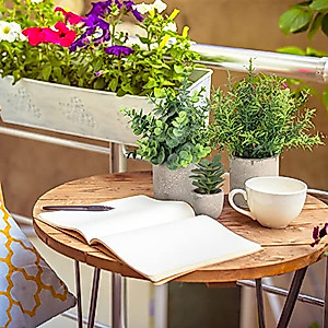 FIAHOSEY Set of 4 Fake Plant Indoor, Artificial Potted Eucalyptus Rosemary Mini Succulents Faux Plants in Paper Pulp Pots for Home Decor Living Room Bedroom Desktop Bookshelf Decoration