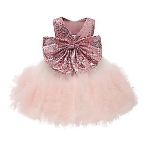 ABAO SISTER Baby Girls Sequined Flower Girl Dress Toddler Princess Tulle Tutu Pageant Ball Gowns, Pink 24M