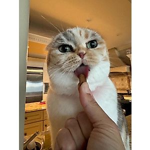 LOVE, NALA - Skin and Coat Supplement for Cats - 90 Tasty Soft Chews - Omega 3 Fish Oil, Biotin, Vitamin E Supports Skin & Fur Health - 3.2 oz