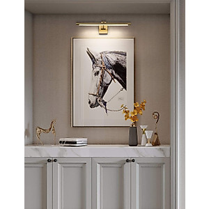 LED Picture Light Fixtures 24.4 Inches, Full Metal Artwork Wall Lamp with Single Swing Arm, 14W (70W Eqv.), Hardwire Connection, Non-Dimmable, 3000K Warm White, CRI80+, Golden-Like Brass Finish