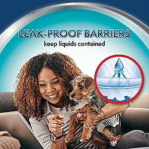 Simple Solution Disposable Dog Diapers for Male Dogs | Male Wraps with Super Absorbent Leak-Proof Fit | Excitable Urination, Incontinence, or Male Marking | Small | 30 Count