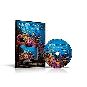 Reefscapes: Nature's Aquarium DVD, nature video of tropical fish and coral reefs filmed in the ocean, for relaxation and ambience