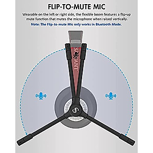 Sanfant Bluetooth Headset with Microphone, Wireless On-Ear Stereo Headphones with Flip-to-Mute Mic, Lightweight Comfort, 22H Playtime, Wired Enabled, Office Headset for Laptop/Cell Phone/Tablet