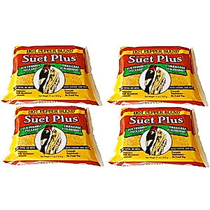 Hot Pepper Suet Value Pack 4 Hot Pepper Suet Cakes for Wild Birds 11 Ounces Each