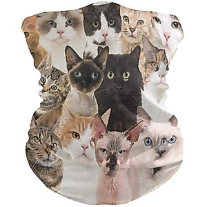 visesunny Seamless Bandana Neck Gaiter Cat Animal Headband Motorcycle Scarf for Women Men