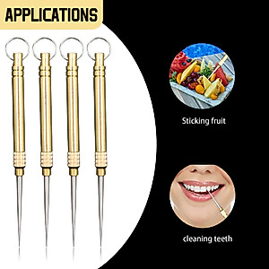 Modixun 10pcs Portable Titanium Toothpicks, Pocket Travel Toothpicks, Reusable Toothpicks,  Metal Toothpick Holder with Key Ring, Fruit Sticks for Outdoor Picnic