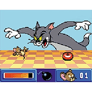 Tom & Jerry: Mouse Attacks