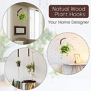 Juexica 4 Pieces Wooden Hanging Plant Hooks Wooden Plants Wall Hooks Plant Hooks Wall Mounted Plant Hanger Hook Indoor and Outdoor Hanging Brackets for Planters, Lanterns, Bird Feeders (Coffee Color)