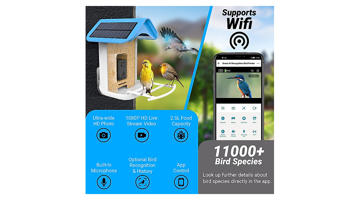 Smart Bird Feeder with Camera & AI Bird Identification