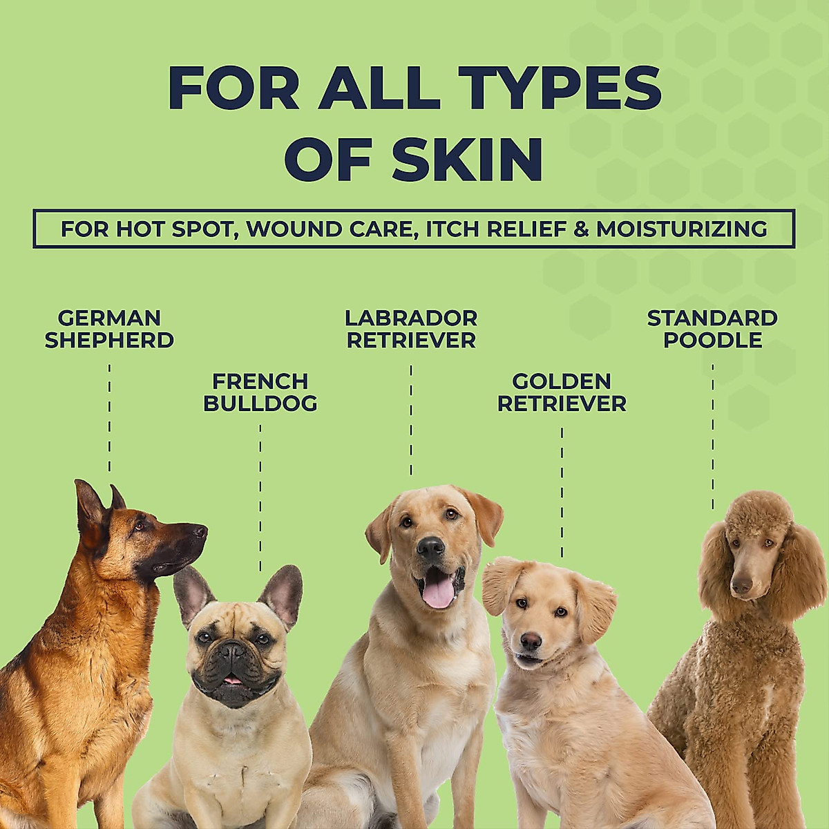 Bulldog Hot Spot Treatment 2Oz-Wound Care Ointment w/Silver & Honey-French Bulldog Itch Relief for Allergy,English Bulldog Lotion for Dry Skin and Healing Balm-Skin Soother for Dog-Lotion for Dry Skin