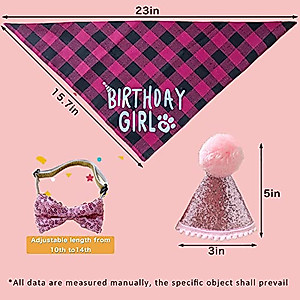 Dog Birthday Party Supplies, Dog Birthday Party Decoration Set, Dog Cute Hat Triangle Scarf Bow Dog Head Banner and Cute Balloon, Used for Dog Birthday Party Decoration (Pink)