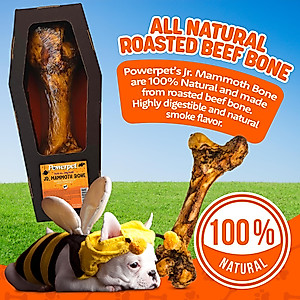 Powerpet Jr. Mammoth Bone - Halloween Dog Treats, Natural Beef Dog Chew Bones, Digestible Dog Bones w/High Calcium, for Dental Health, Large Breeds & Aggressive Chewers - Odorless, Smoked Flavor 1pc