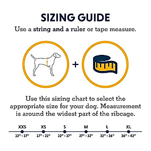 Ruffwear, Powder Hound Insulated, Water Resistant Cold Weather Jacket for Dogs, Aurora Teal, X-Small