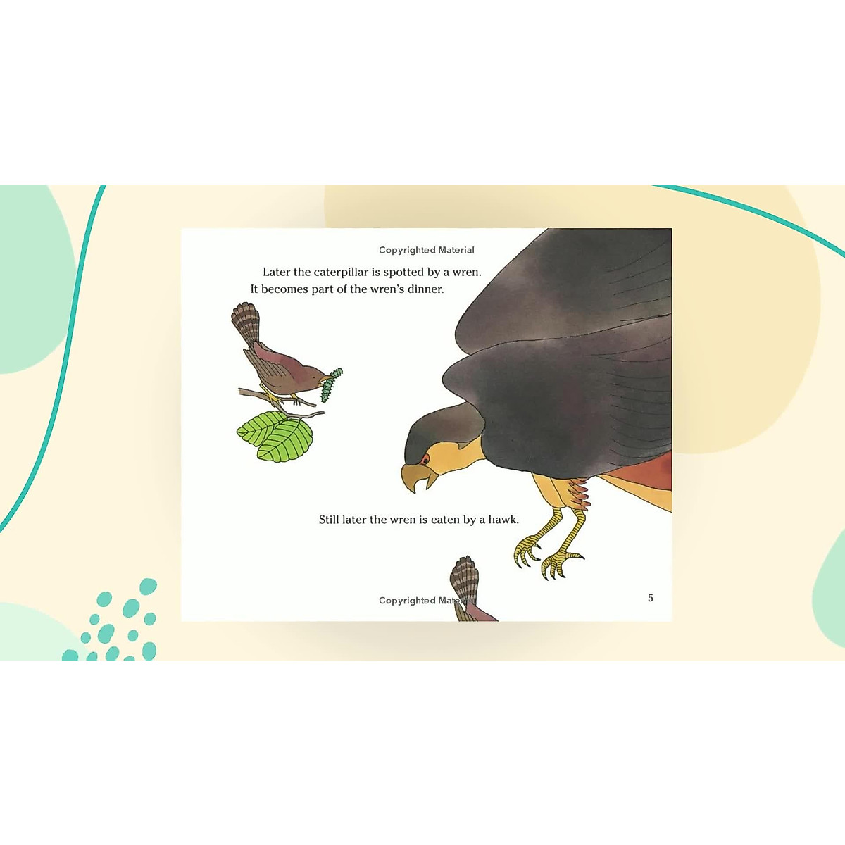 Who Eats What?: Food Chains and Food Webs (Let's-Read-and-Find-Out Science 2)