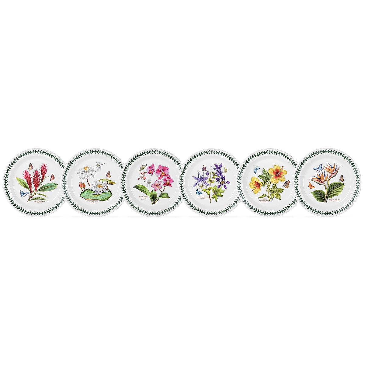 Portmeirion Exotic Botanic Garden Dinner Plate with Assorted Motifs, Round, Ceramic, Dishwasher, Microwave, & Oven Safe, 10.5 Inch, Made in England - Set of 6