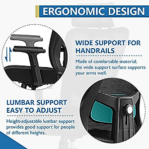 Primy Ergonomic Office Chair,High Back Desk Chair with Adjustable Headrest with 2D Arms,Lumbar Support and PU Wheels,Big and Tall Office Chair for Home and Office,Tilt Function Computer Chair (18-H)
