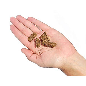 PLATO Small Bites Natural Training Dog Treats - Real Meat - Grain Free - Made in the USA - Organic Chicken Flavor, 6 ounces