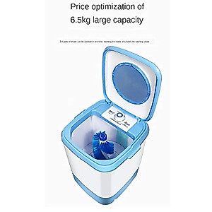 ZLXDP 6.5kg Portable Shoes Washing Machine Household Single Tube Washer and Dryer Machine for Shoes Bacteriostasis Shoes (Color : EU)