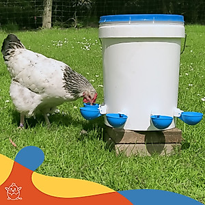 Lil Clucker - Blue Large Automatic Chicken Waterer Cups Suitable for Ducks, Geese, Turkeys, and Bunny Rabbit - Water Feeder Kit - Poultry Waterer - Pack of 5