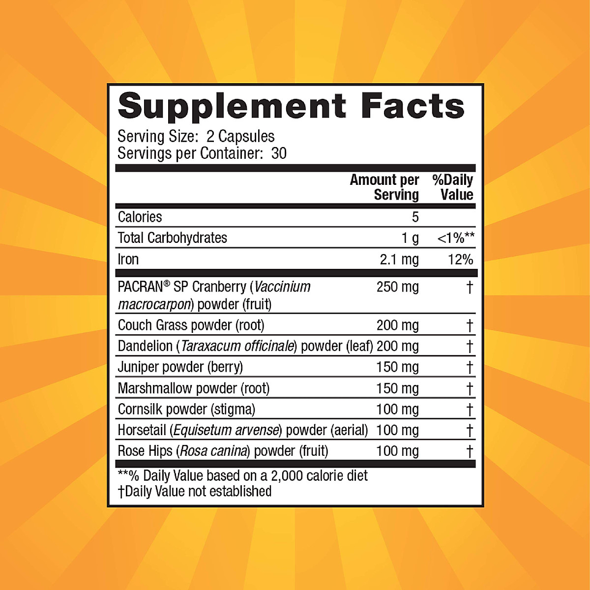 Nature's Secret Urinary Flush & Support with Cranberry Promotes Healthy Bladder & Urinary Tract - 8 Botanical Concentrate Blends to Flush & Soothe - Healthy Elimination & Detoxification - 60 Capsules