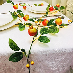 Artificial Fruit Pomegranate String Lights 6.56ft/20LED Rosehips Hanging Vines Plant Garland Foam Berries Light for Home Garden Wedding Party Decor (Z-Pomegranate Light, 1 Pack)