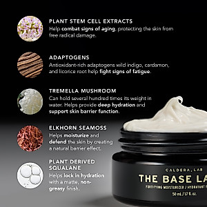 Caldera + Lab The Regimen, Vegan Skin Care Bundle: Gentle Foaming Cleanser, Ultra-Hydrating Moisturizer & Multi-Functional Facial Serum – MADE SAFE Certified