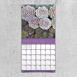 2020 Succulents Wall Calendar
