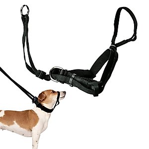 Sporn YUP! Pet Head Halter, Medium, Black, (33571)