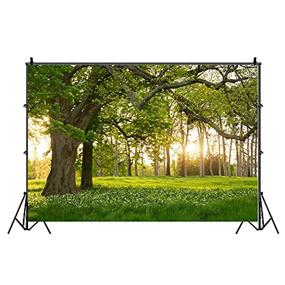 Leowefowa 7X5FT Spring Backdrop Rural Forest Trees Backdrops for Photography Blooming Flowers Green Grassland Nature Vinyl Photo Background Kids Adults Outdoor Travel Portraits Studio Props