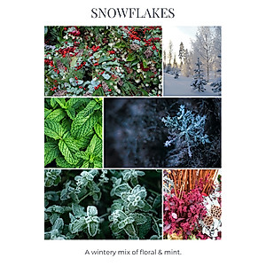 Eco Candle Co. Tea Light Candles, Snowflakes, 10-Pack - Scents of Winter, Flowers, & Mint - Recyclable, 100% Soy Wax, No Lead, Hand Poured, Made from Midwest Grown Soybeans, .6 oz. Each