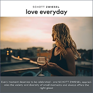 Schott Zwiesel Tritan Crystal Glass Classico Stemware Collection Claret Burgundy Red Wine Glass, 27-1/2-Ounce, Set of 6