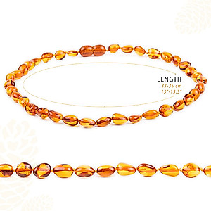 Amber Necklace - 100% Authentic Amber (Rich Honey, 13.5 inches), Certified Amber Necklace with Safety Clasp and Knotted Beads