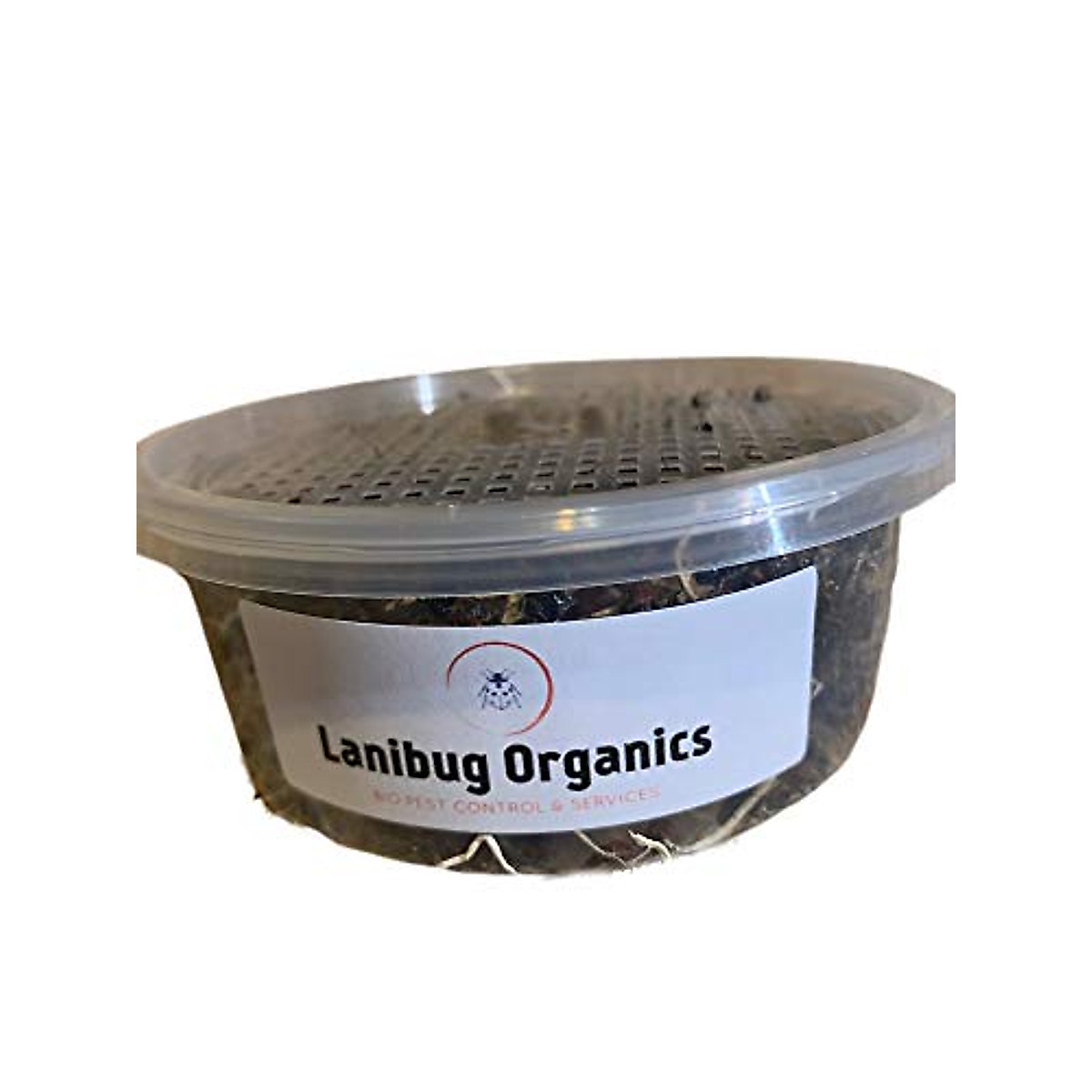 Thanos Lanibug Organics 500 Live Hippodamia Convergens Ladybugs- Guaranteed Live Delivery with Standard/Priority Shipping
