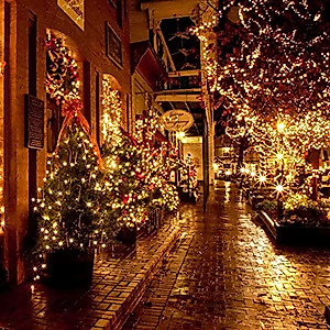 FUNPENY 164FT 500 LED Christmas Indoor Outdoor Decorative String Lights, 8 Modes Waterproof Green Wire LED Fairy Light for Christmas Party Wedding Garden Home Decoration (Warm White)