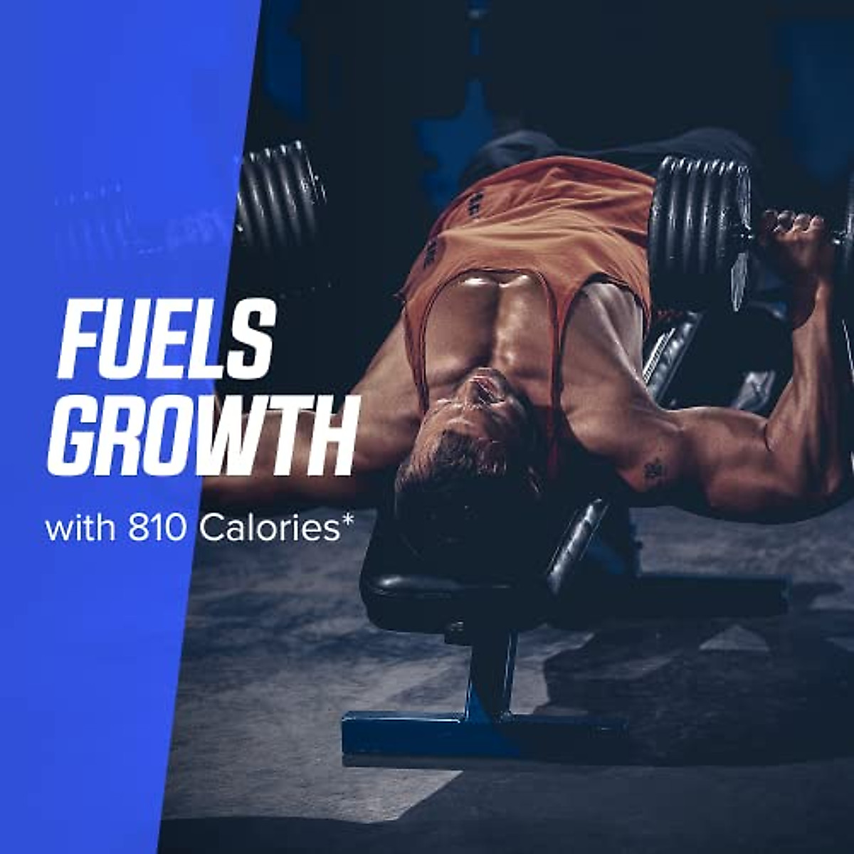 Bodybuilding Signature Signature Mass Gainer | 50g of Mass-Building Protein | Protein, Calories, Fats, Probiotics and Carbohydrates | 5 Lbs. Vanilla