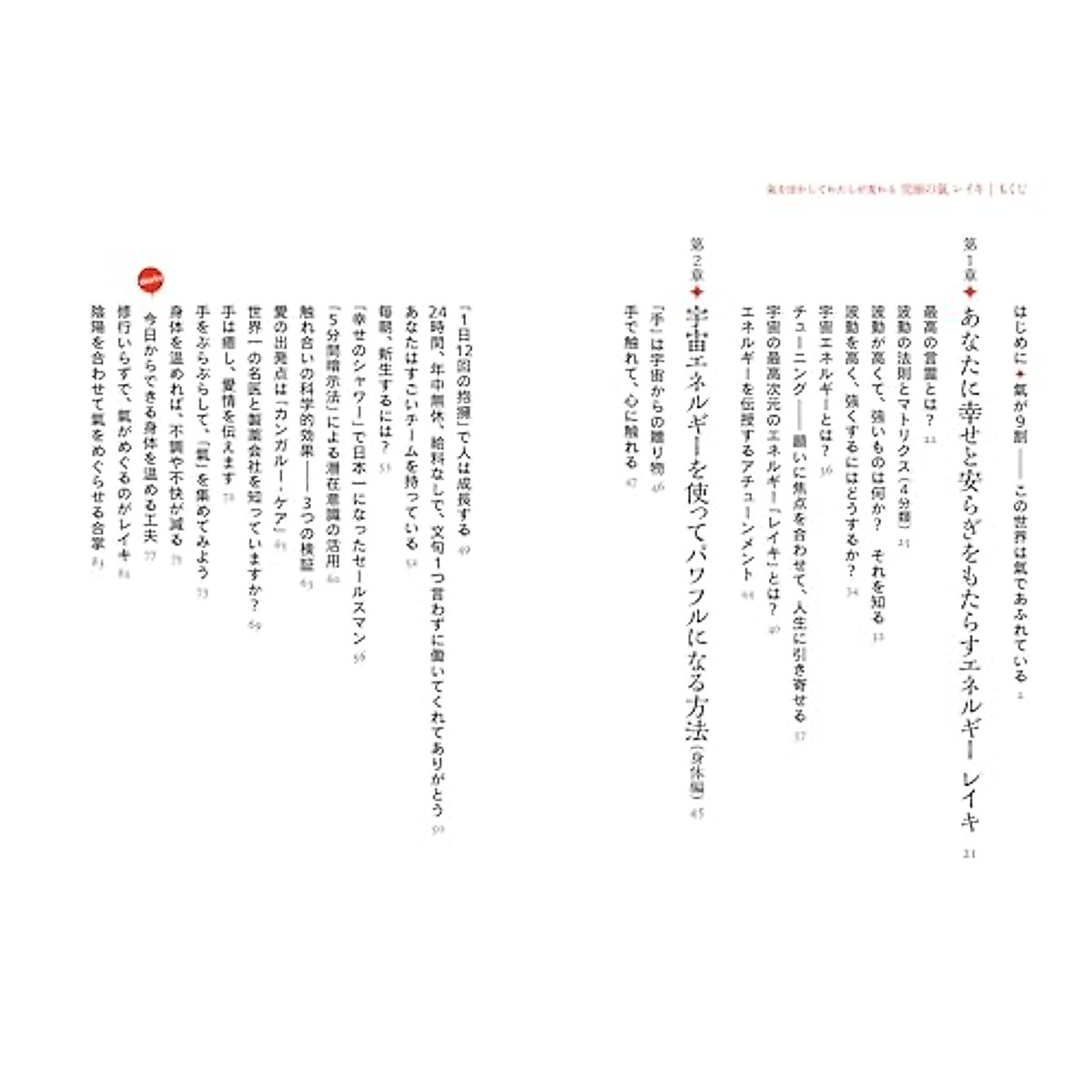 氣を活かしてわたしが変わる 究極の氣 レイキ