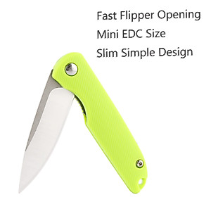 TENCHILON T28 Mini Flipper Folding Pocket Knife, 2.1 Inch Spear Point Blades, Contoured ABS Handle with Liner lock, Micro Small Little Gentlemen's Utility EDC Knives