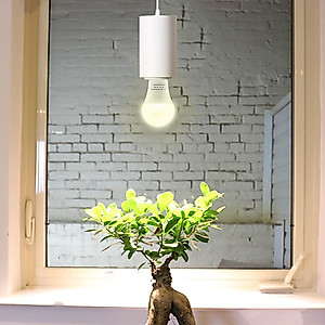 mfxmf 2 Pack LED Grow Light Bulbs A19 Bulb, Full Spectrum Plant Light Bulb, 9W E26 Grow Bulb Replace up to 80W, Grow Light for Indoor Plants, Flowers, Greenhouse, Indore Garden, Hydroponic