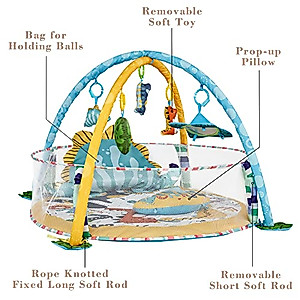 LOL-FUN Baby Play Mat Infant Activity Gym, Baby Floor Mat Activity Gym Playmat, Infant Toys for 0 3 6 12 Months Foldable Mat