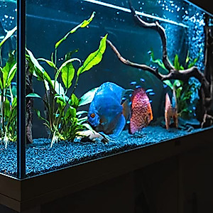 Kraken Bond 100% Silicone Aquarium Safe Sealant - Waterproof Bond to Glass, Non-Toxic Aquarium Sealer Clear for Freshwater & Saltwater Aquarium | 1 Pack, 10.1 Fl. Oz. Cartridge