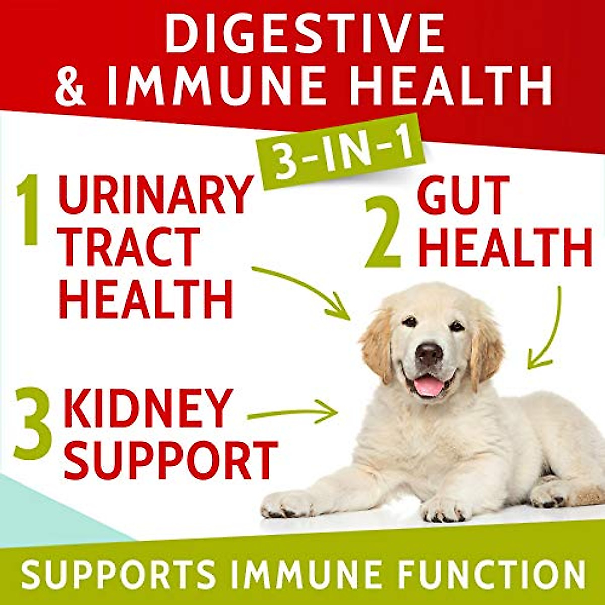 PAWFECTCHEW Green Lawn Chews for Dogs - Green Grass Chews - Urine Neutralizer Grass Burn Spots - Lawn Burn from Dog Urine - Probiotics & Enzymes - Made in USA - Bacon Flavor - 120 Lawn Saver Chews