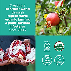 Navitas Organics Pomegranate Powder, 8oz. Bag, 45 Servings — Organic, Non-GMO, Freeze-Dried, Gluten-Free