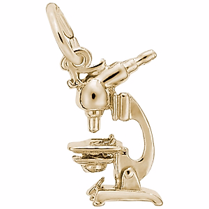10k Yellow Gold Microscope Charm, Charms for Bracelets and Necklaces