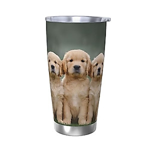 NHJKLWQSZ Golden Retrievers 20oz Stainless Steel Tumbler With Lid And Straw, Double Wall Vacuum Insulated Coffee Mug Travel Cups Leak-Proof Lid For Hot And Cold Drinks, Metal Straws And Brush